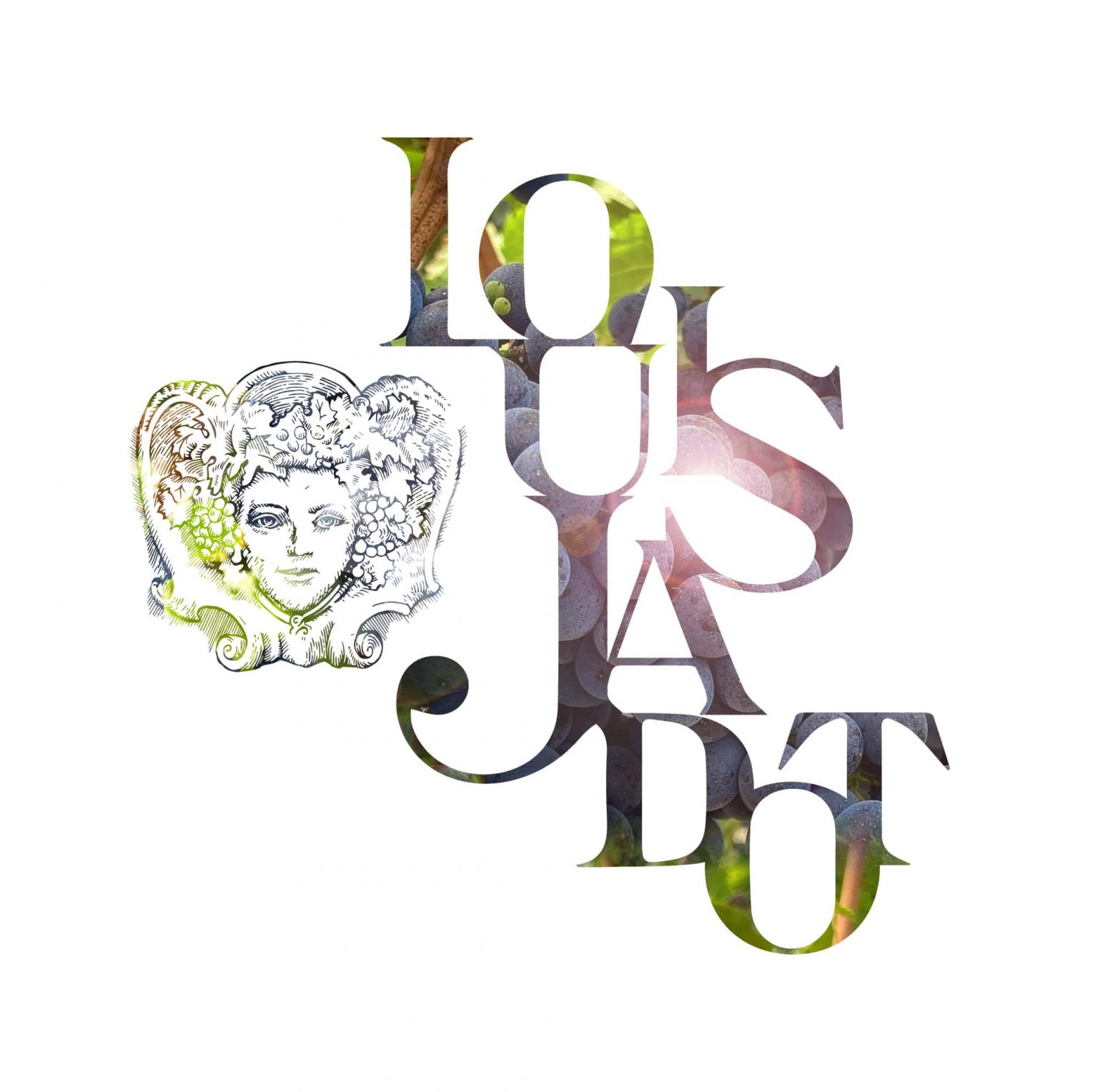 Agence graphisme | Studio graphique | Créativité et réactivité | AMBIGRAM